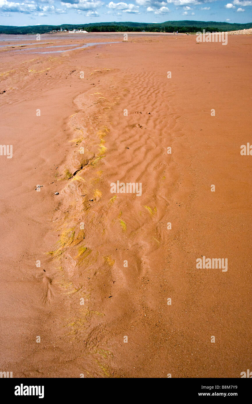 Silt soil hi-res stock photography and images - Alamy