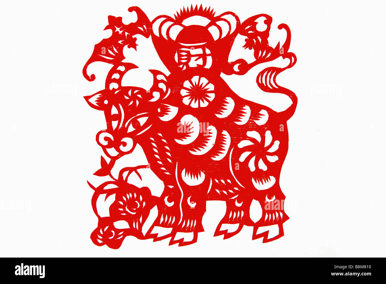 Cut Or Torn Paper Of Ox Stock Photo - Alamy