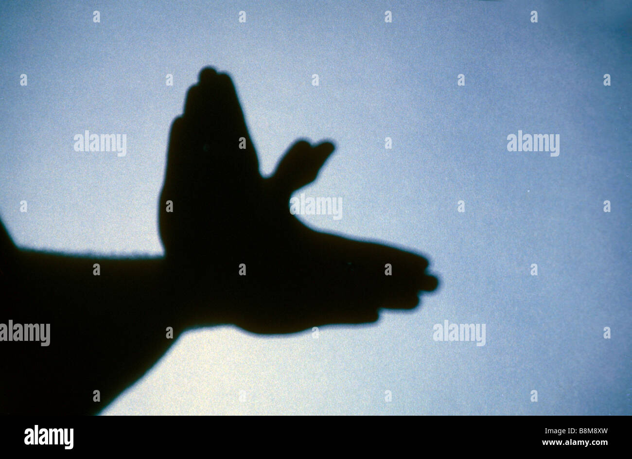 Hand shadow forms shape of bird on blue wall Stock Photo - Alamy