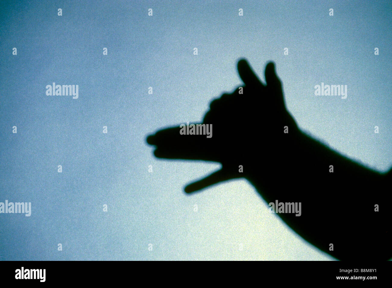 Hand shadow forms shape of dog's head on blue wall Stock Photo - Alamy