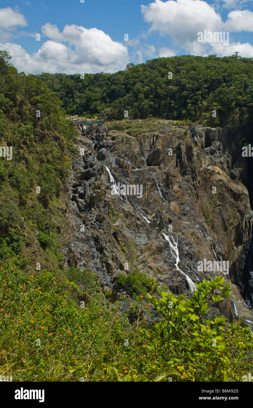 Barron Falls in Queensland Stock Photo - Alamy
