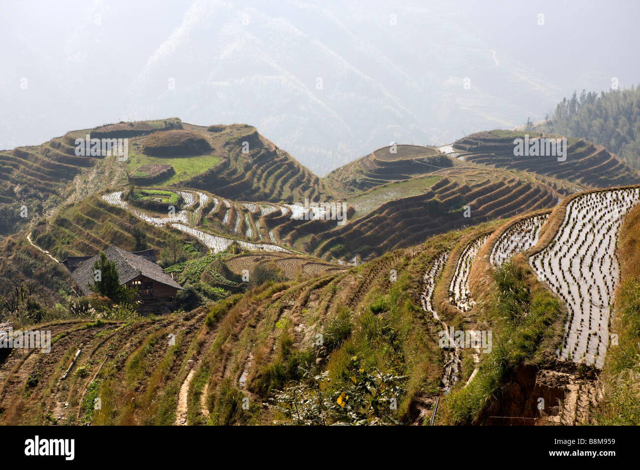 Longji Terraced Field in Guilin Guangxi Province China Stock Photo - Alamy