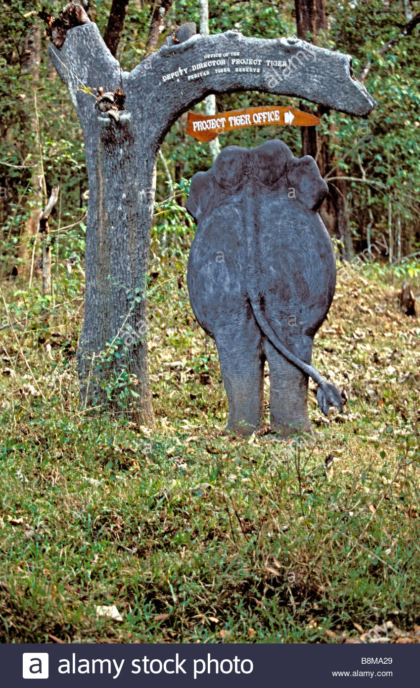 Periyar Tiger Stock Photos & Periyar Tiger Stock Images - Alamy