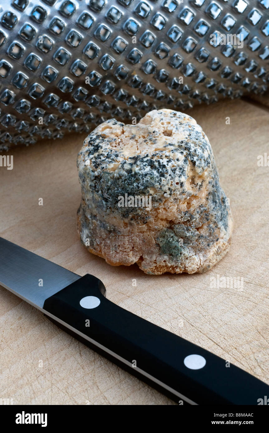 Old, hard, mouldy, hand-made goat's cheese / fromage de chevre, France ...