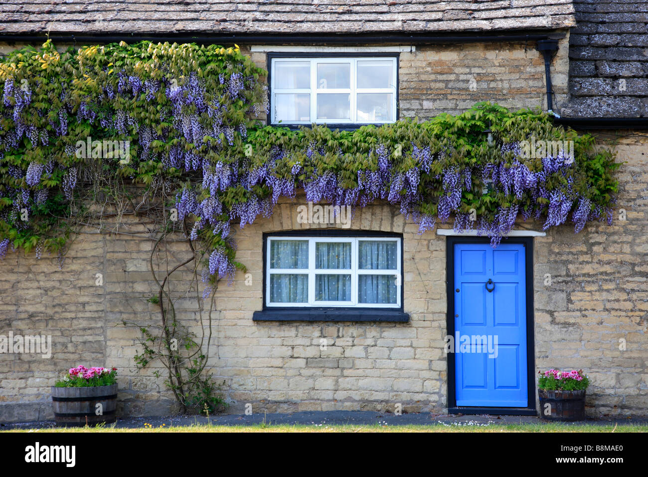 Stone Built Thatched Wisteria Cottage Barnack village Cambridgeshire ...