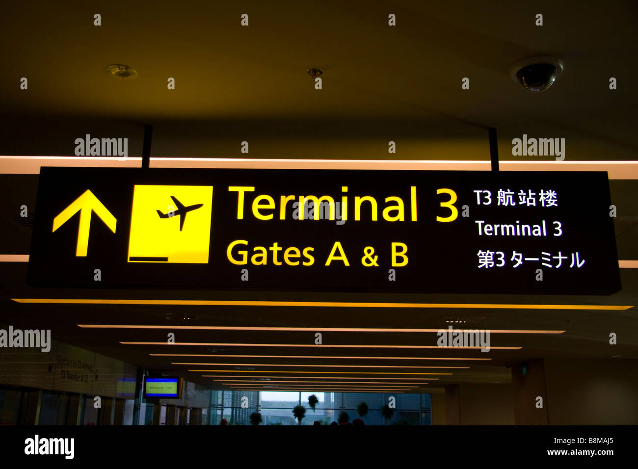 Airport Terminal Signs
