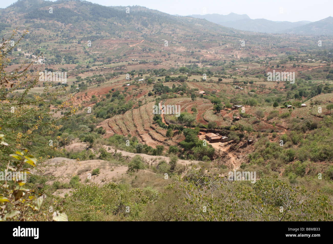 Agricultural terracing on slopes to reduce erosion in Mbooni Hills ...