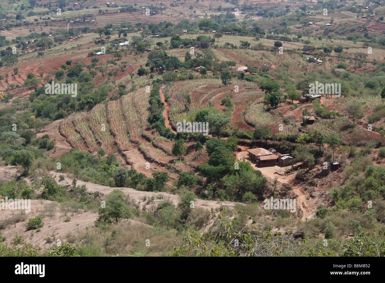 Agricultural terracing on slopes to reduce erosion in Mbooni Hills ...