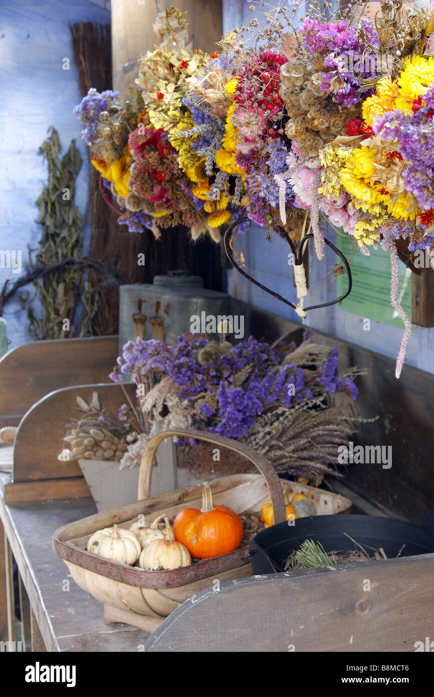 Old Garden Shed Rustic Flowers