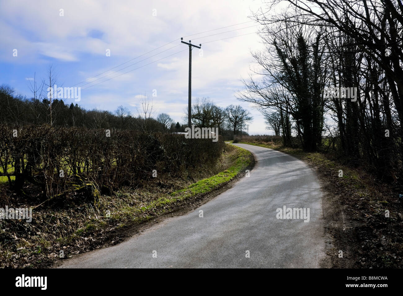 country lane the baddesley clinton estate warwickshire midlands england ...