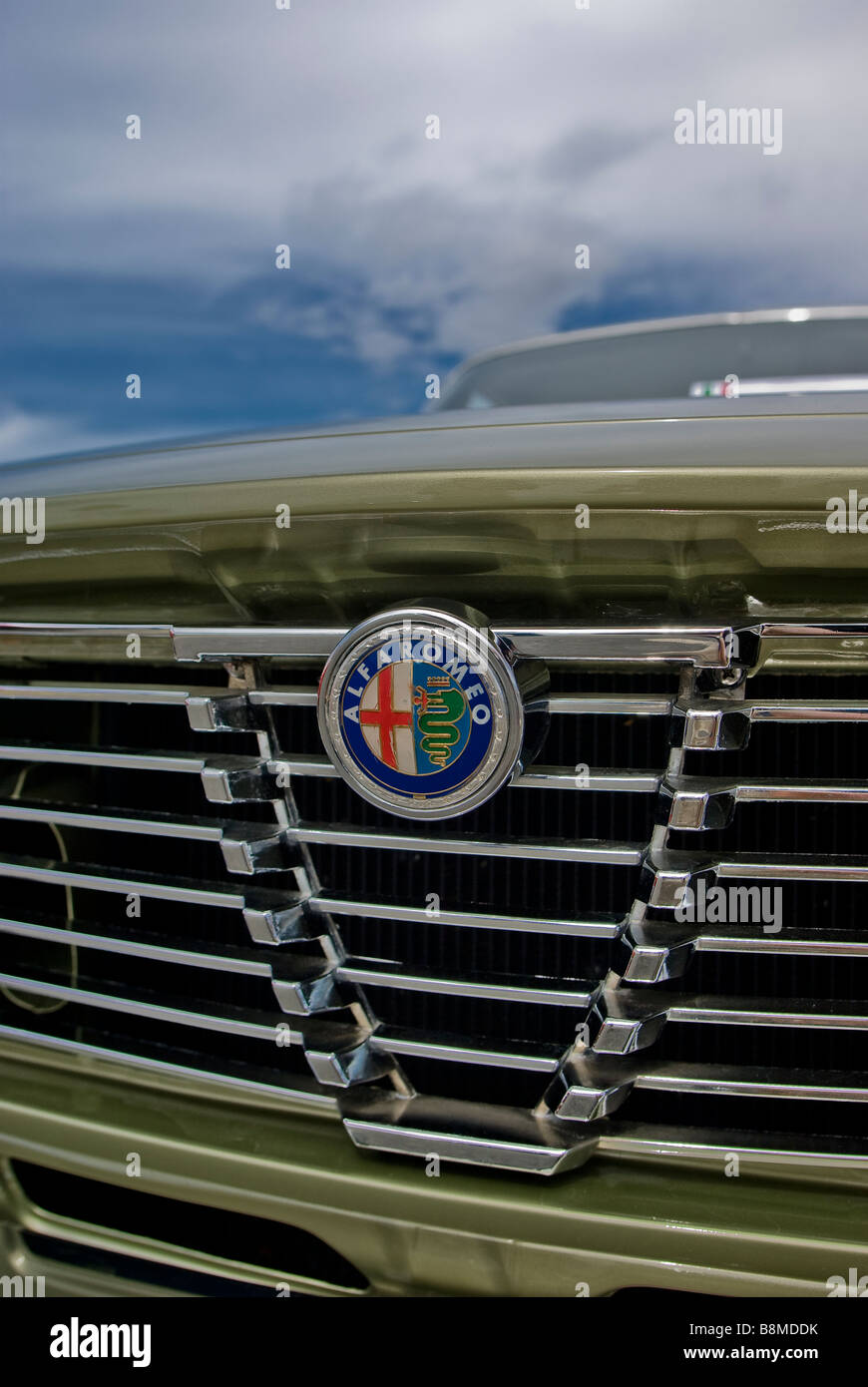 front grill of an Alfa Romeo 1750 GTV Stock Photo - Alamy