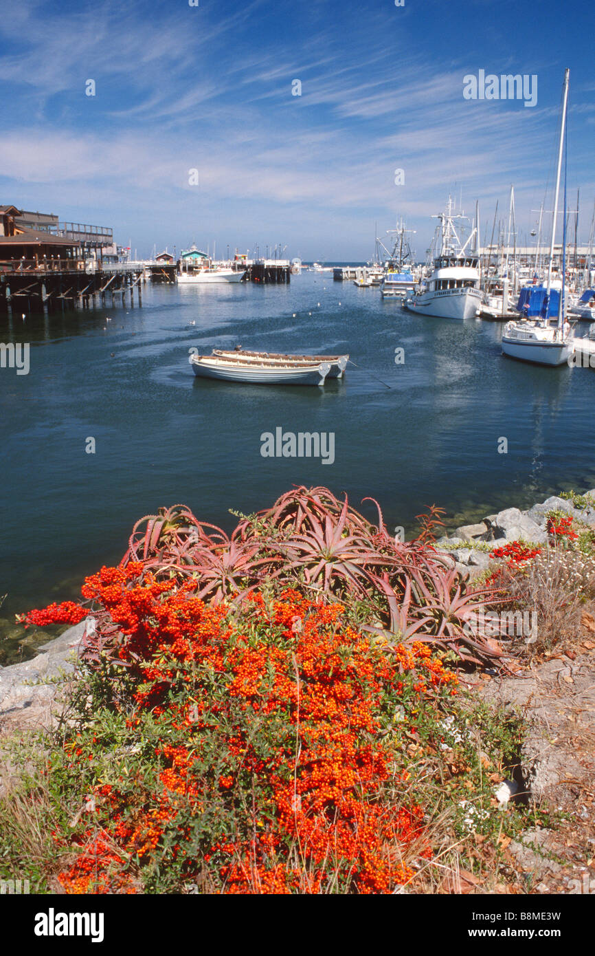 Monterey boats hi-res stock photography and images - Alamy