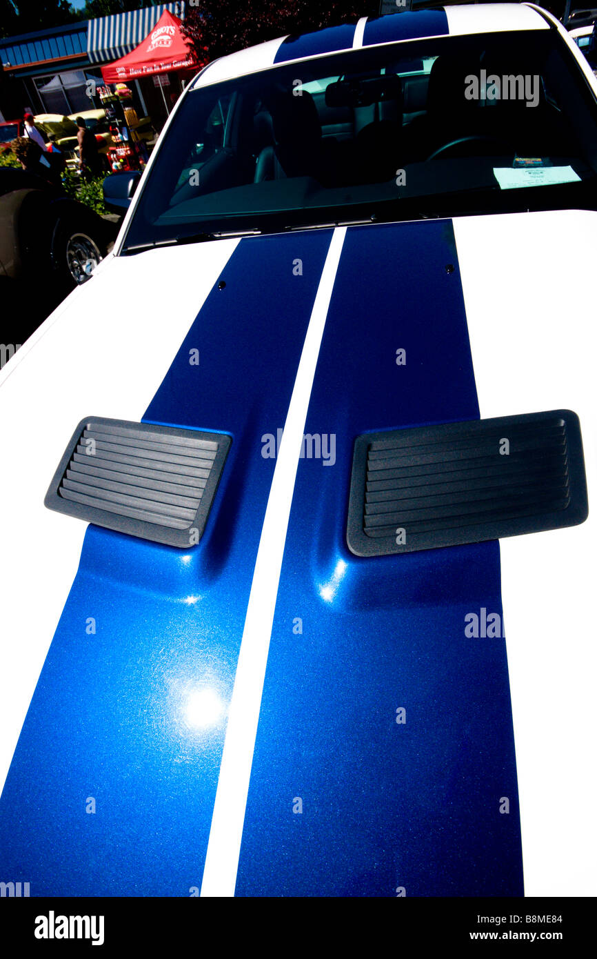 Mustang bonnet hi-res stock photography and images - Alamy