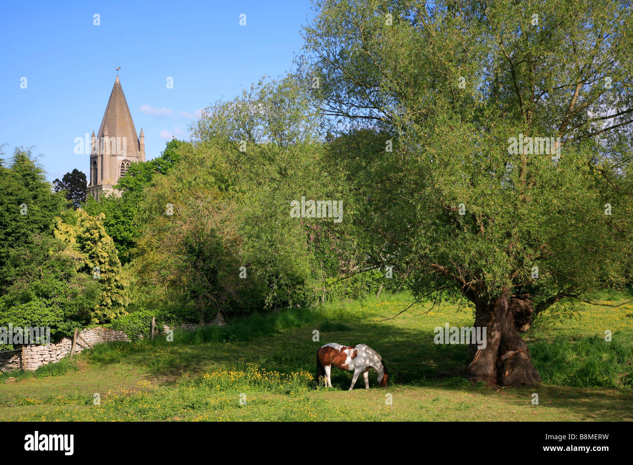 Summer Landscape Scene Buttercup Meadows St Johns Church Barnack ...