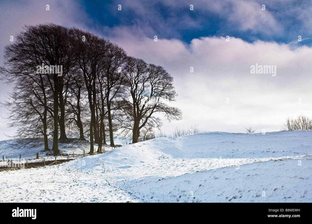 A snowy winter landscape scene in Wiltshire England UK Stock Photo - Alamy