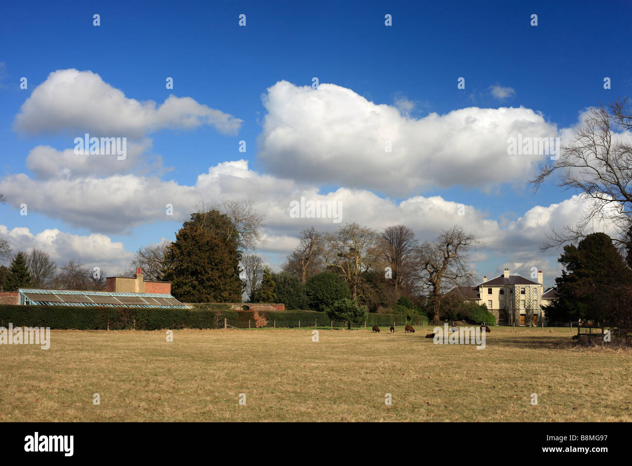 Down house darwin hi-res stock photography and images - Alamy