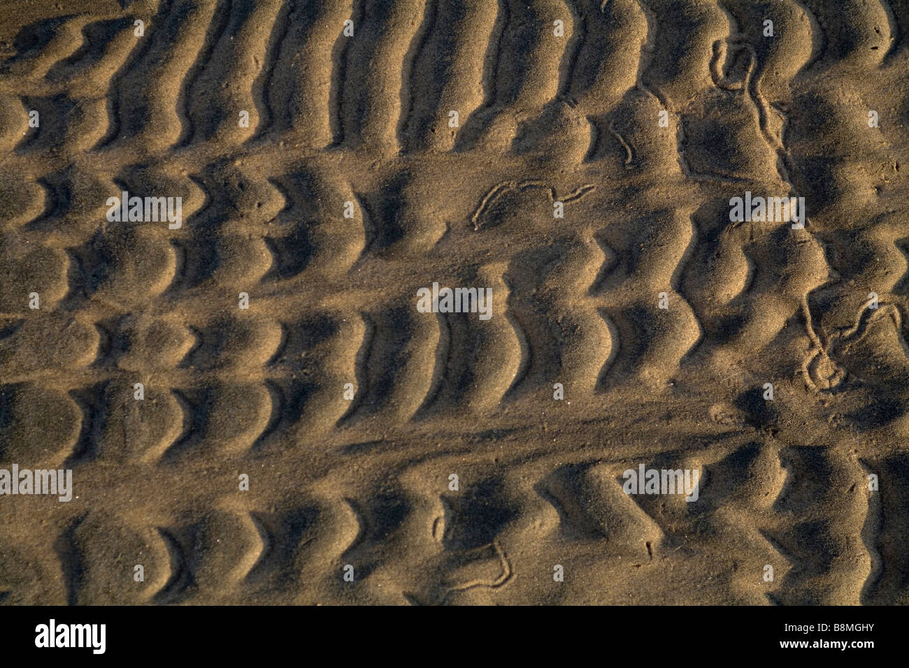 Sudan nile river bank hi-res stock photography and images - Alamy