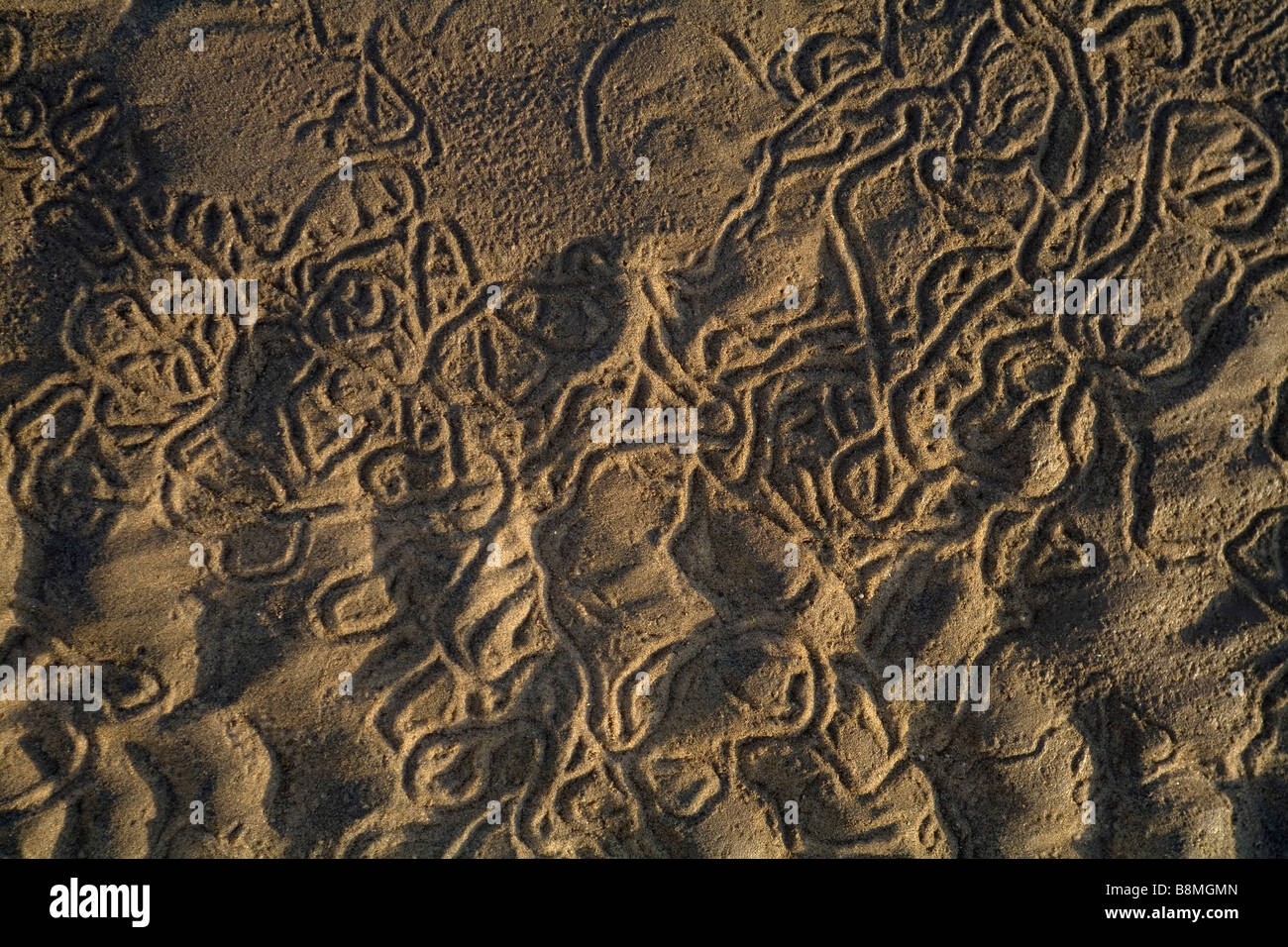 Sudan nile river bank hi-res stock photography and images - Alamy