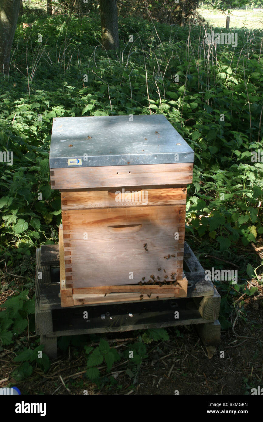 British national movable frame hive Stock Photo - Alamy