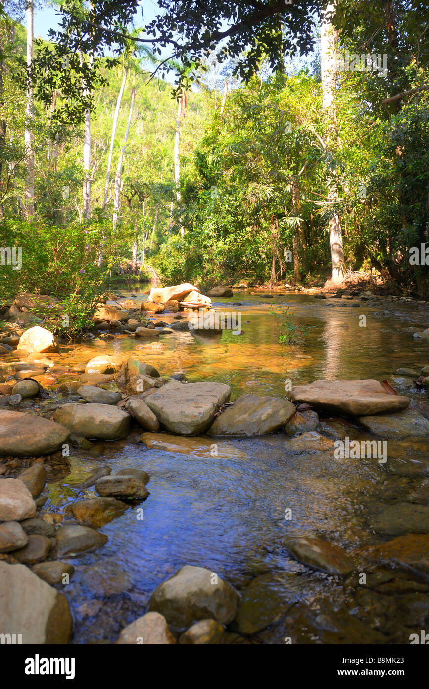 Cuban vegetation hi-res stock photography and images - Alamy