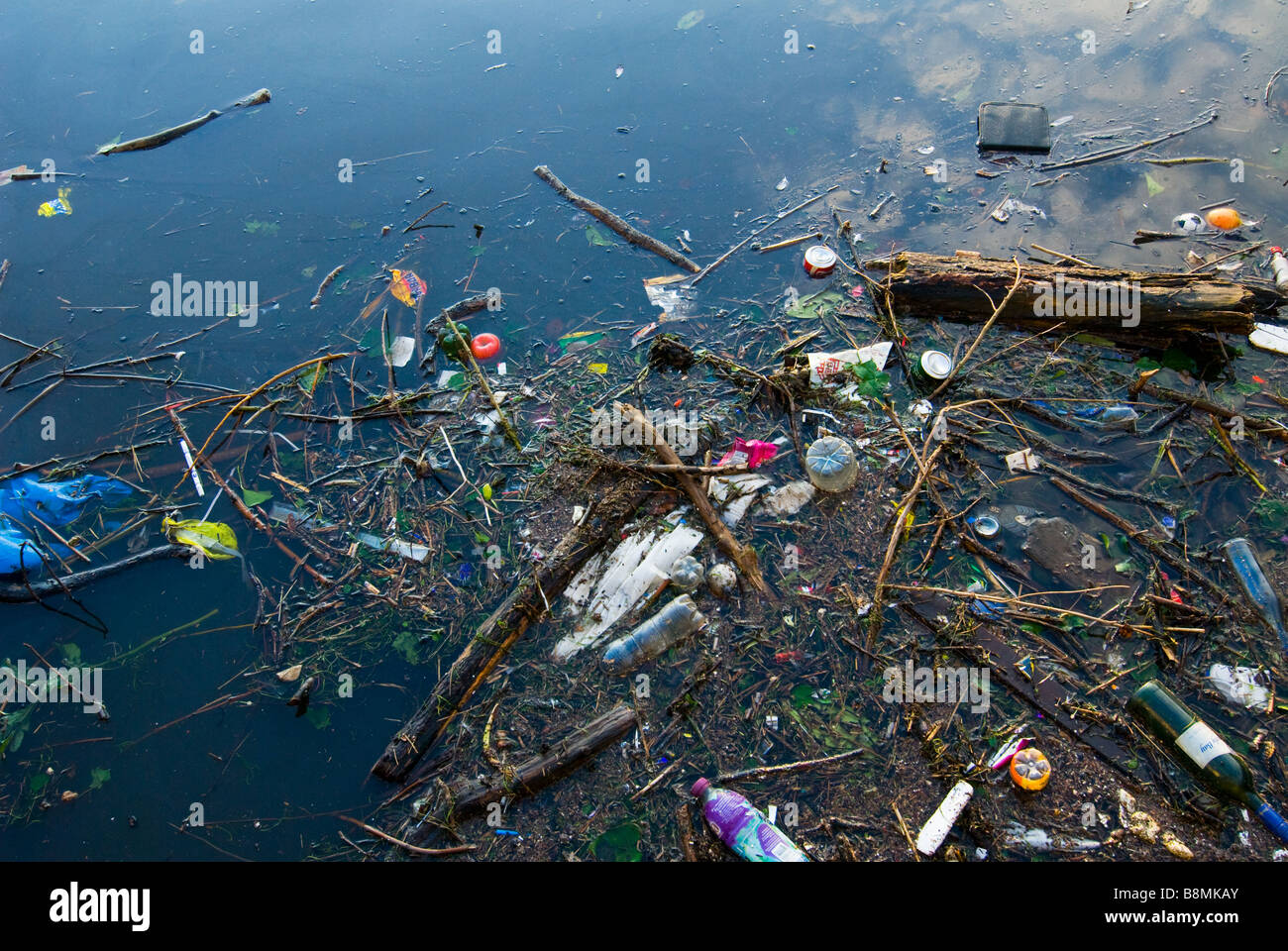photograph of rubbish floating on water surface Stock Photo - Alamy photograph of rubbish floating on water surface Stock Photo - Alamy