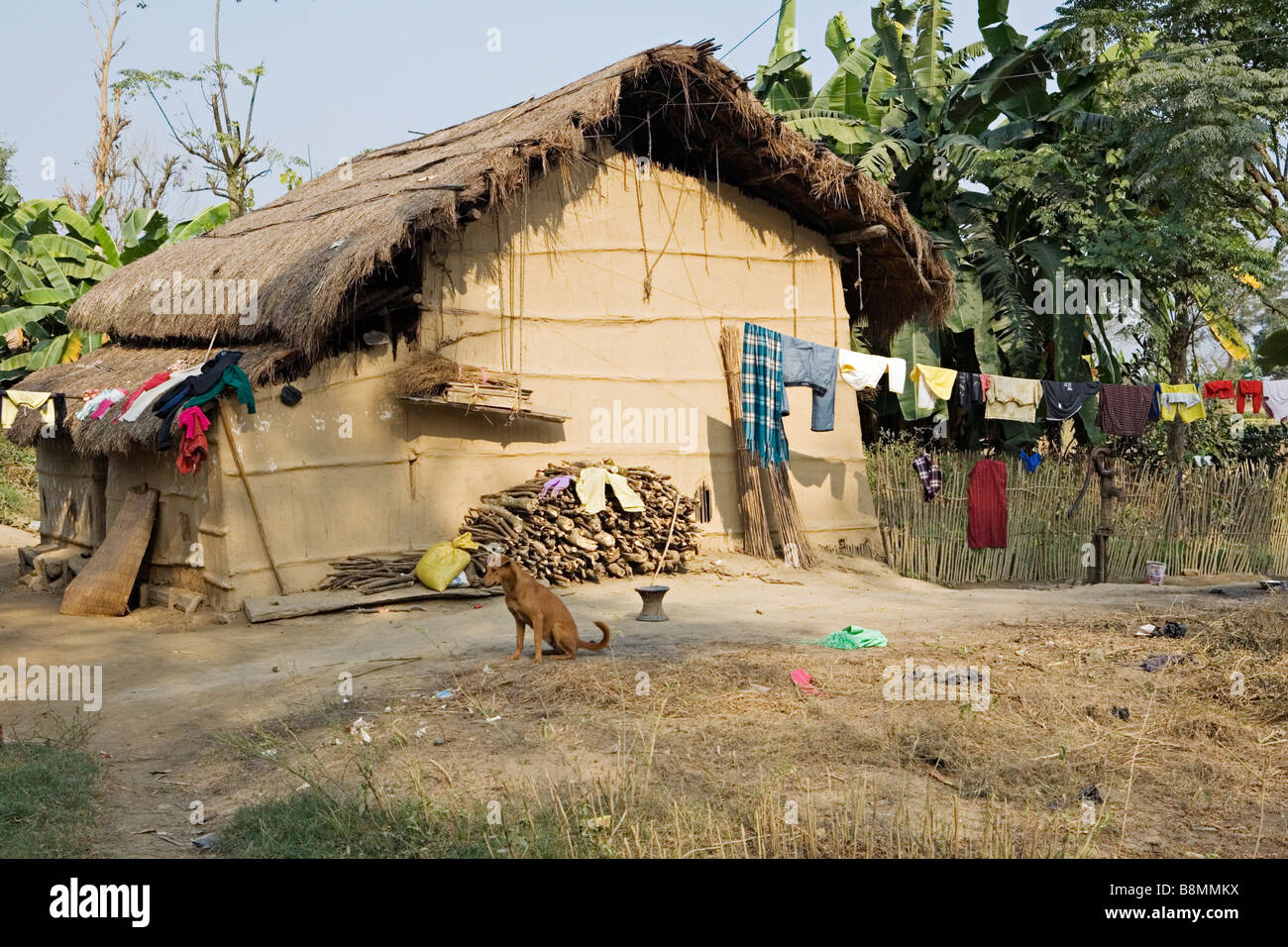 Nepal tharu house hi-res stock photography and images - Alamy
