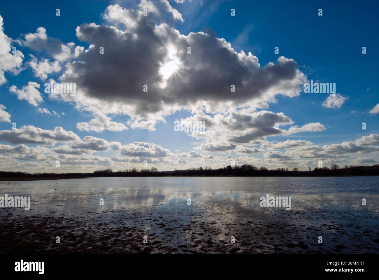Port Meadow, Oxford, England Stock Photo - Alamy