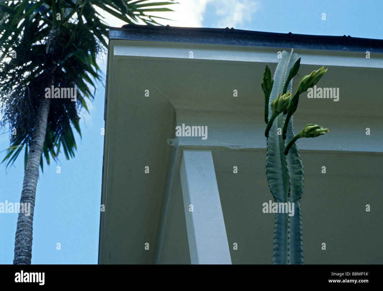 Hometropical hi-res stock photography and images - Alamy