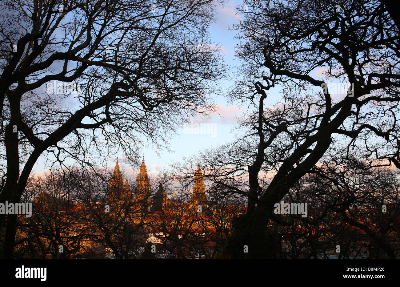 Cathedral through trees hi-res stock photography and images - Alamy