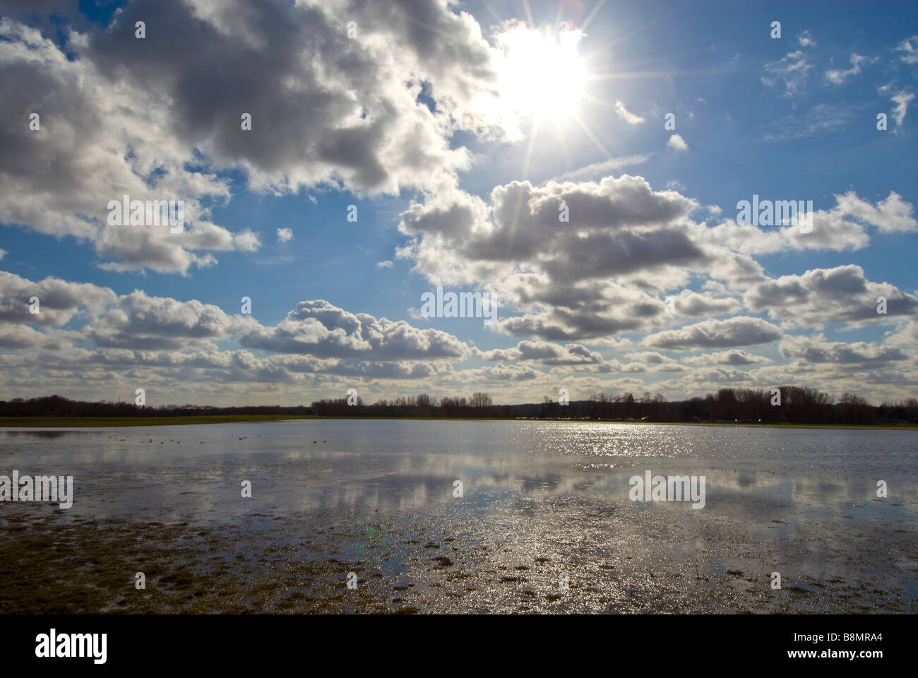 Port Meadow, Oxford, England Stock Photo - Alamy