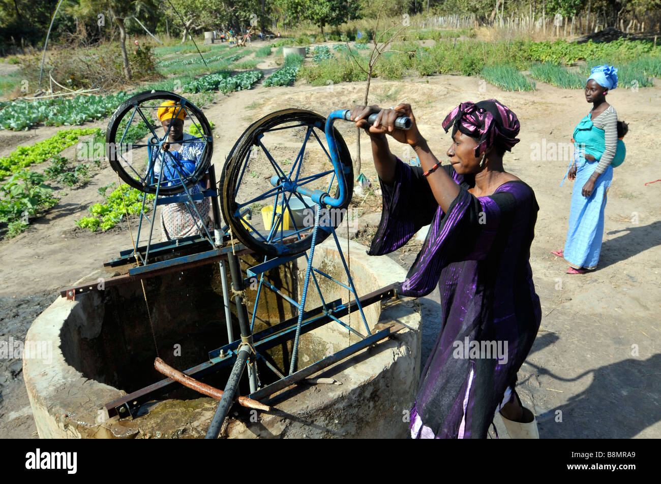 Woman collecting water from a well, The Gambia, West Africa Stock Photo ...