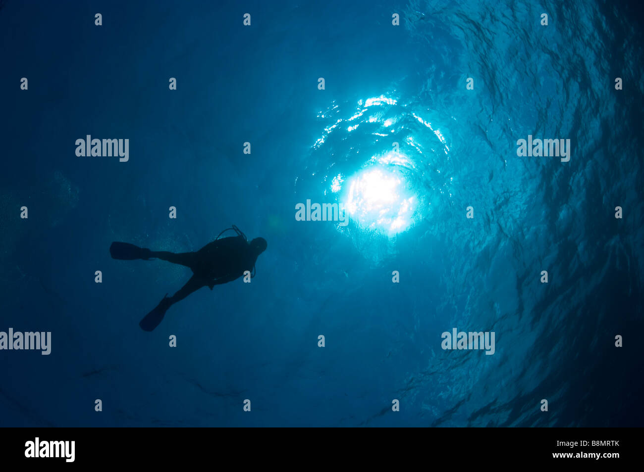 A silhouette of a scuba diver floating on the surface of the ocean ...