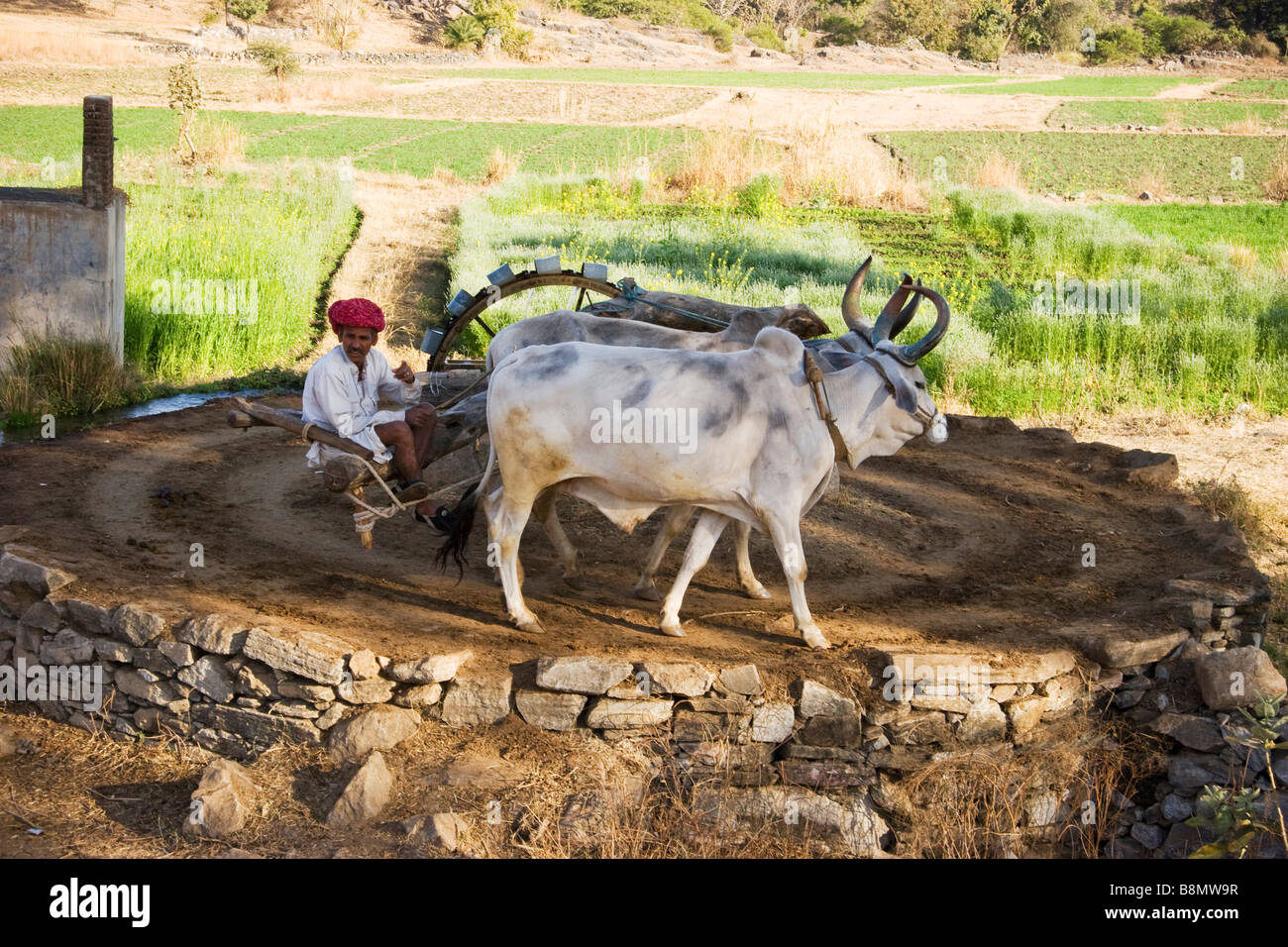 Traditional Indian water well Rajasthan India Stock Photo - Alamy