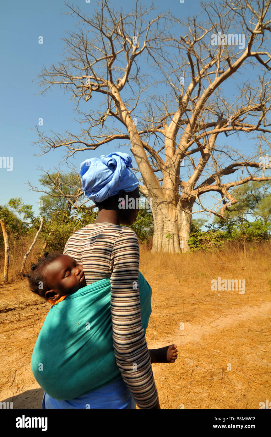 Woman carrying a baby, Baobab tree, The Gambia, West Africa Stock Photo ...