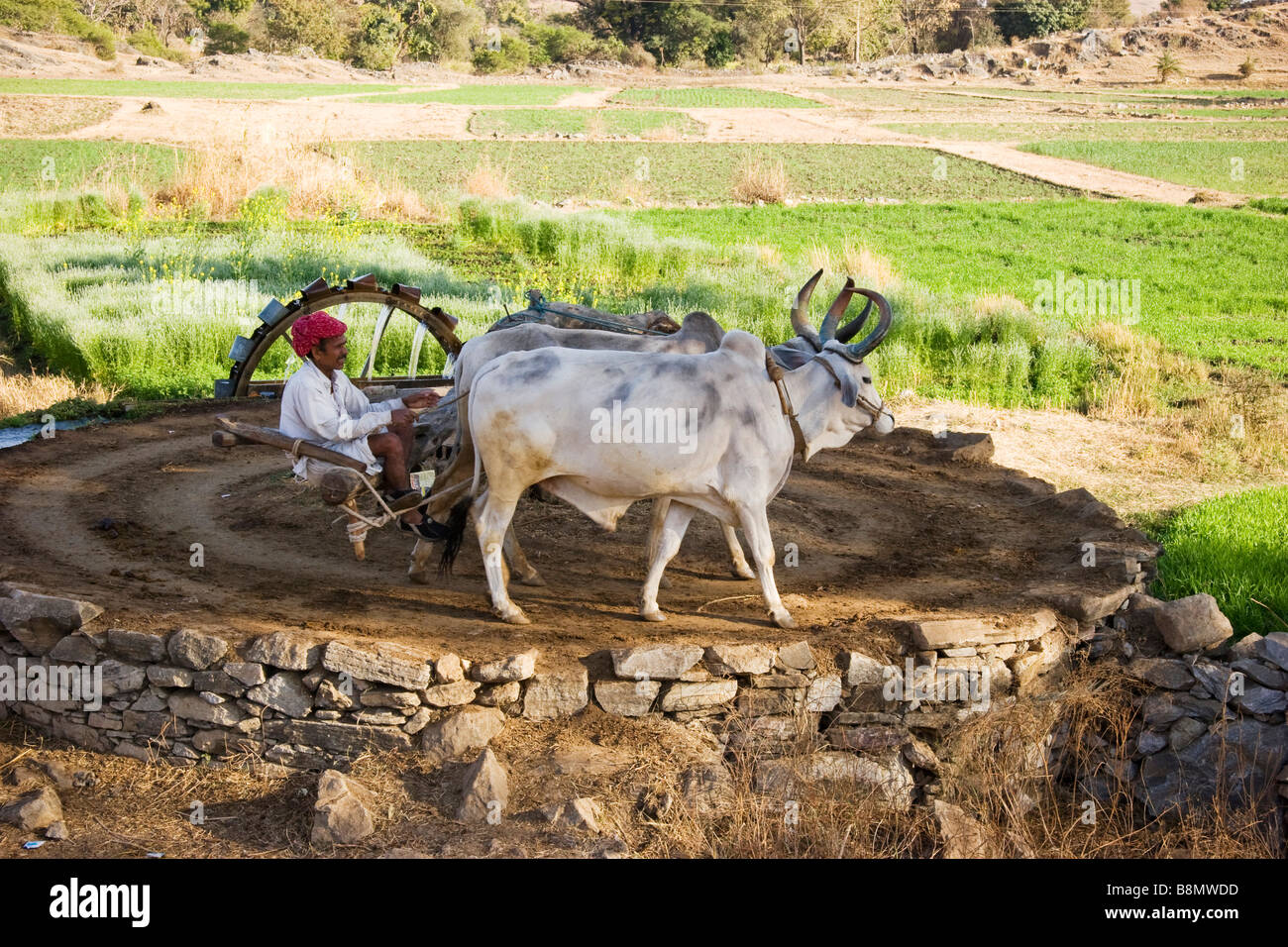 Traditional Indian water well Rajasthan India Stock Photo - Alamy