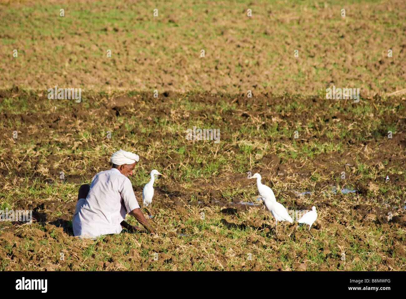 Indian farmer hi-res stock photography and images - Alamy