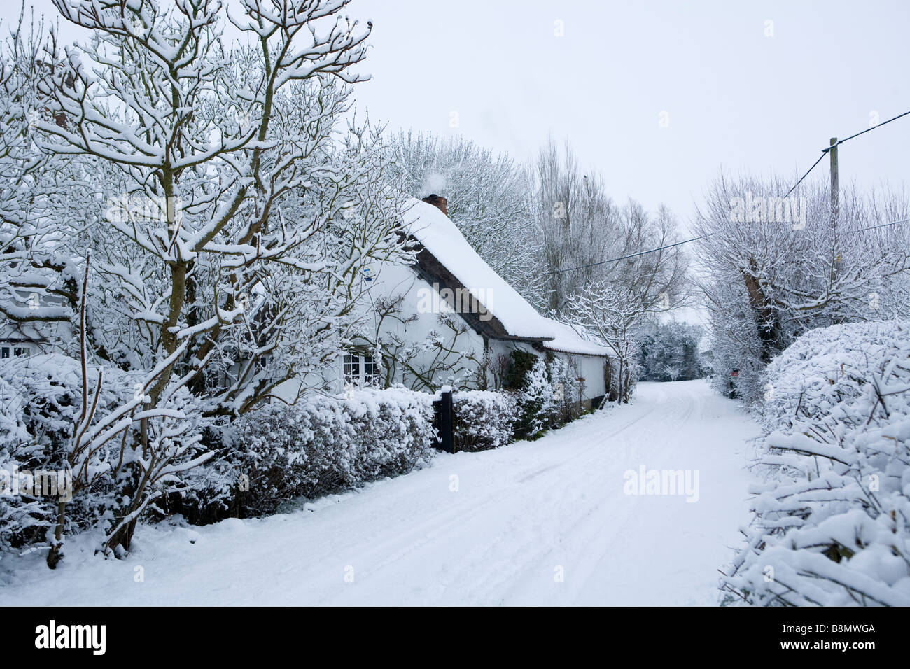 winter scene of a thatched cottage and country lane in the ...