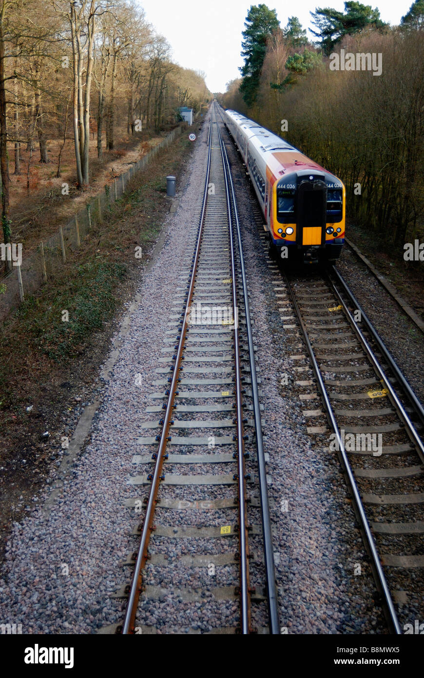 A train journey through The New Forest Stock Photo - Alamy