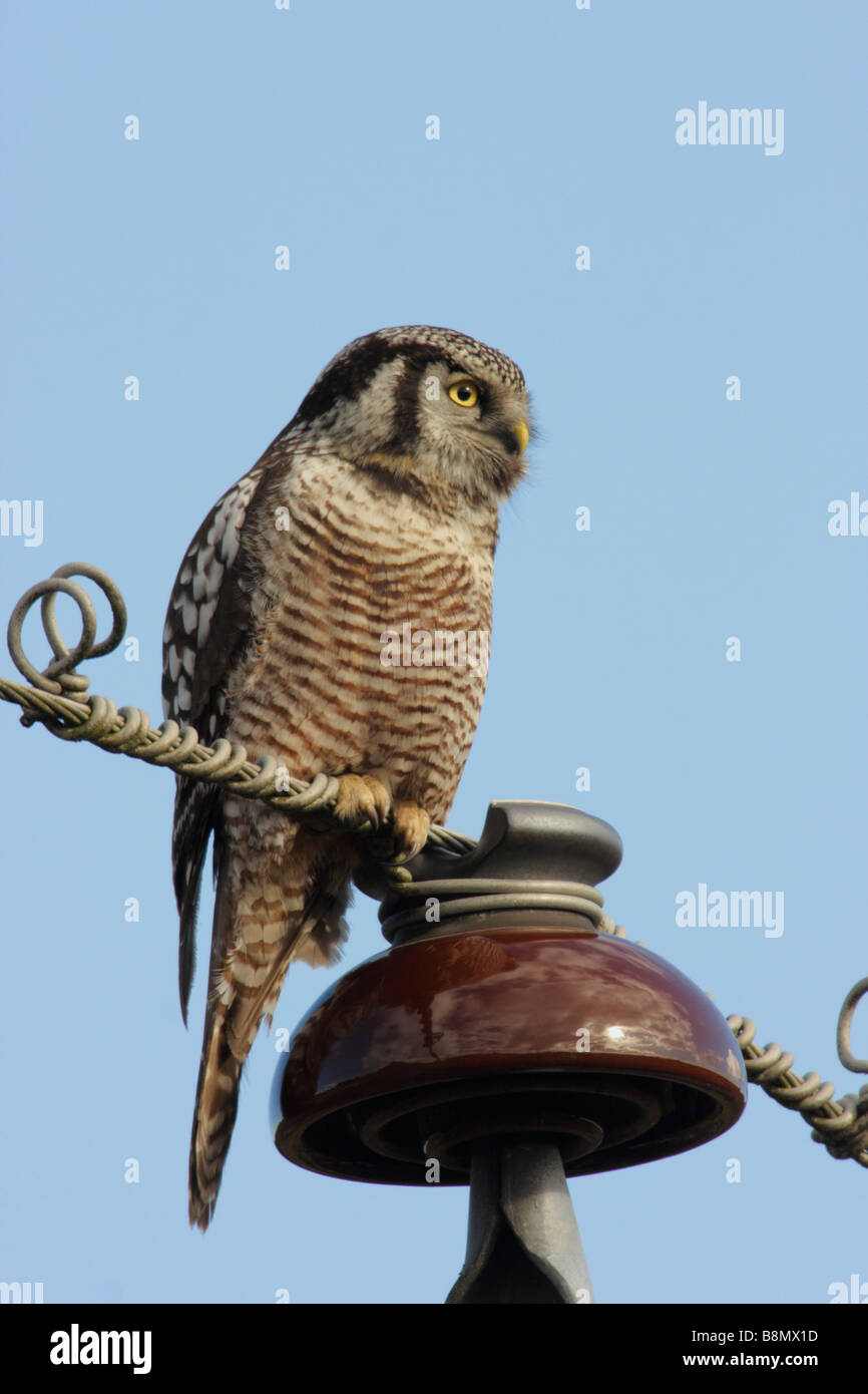 Hydro wire hi-res stock photography and images - Alamy