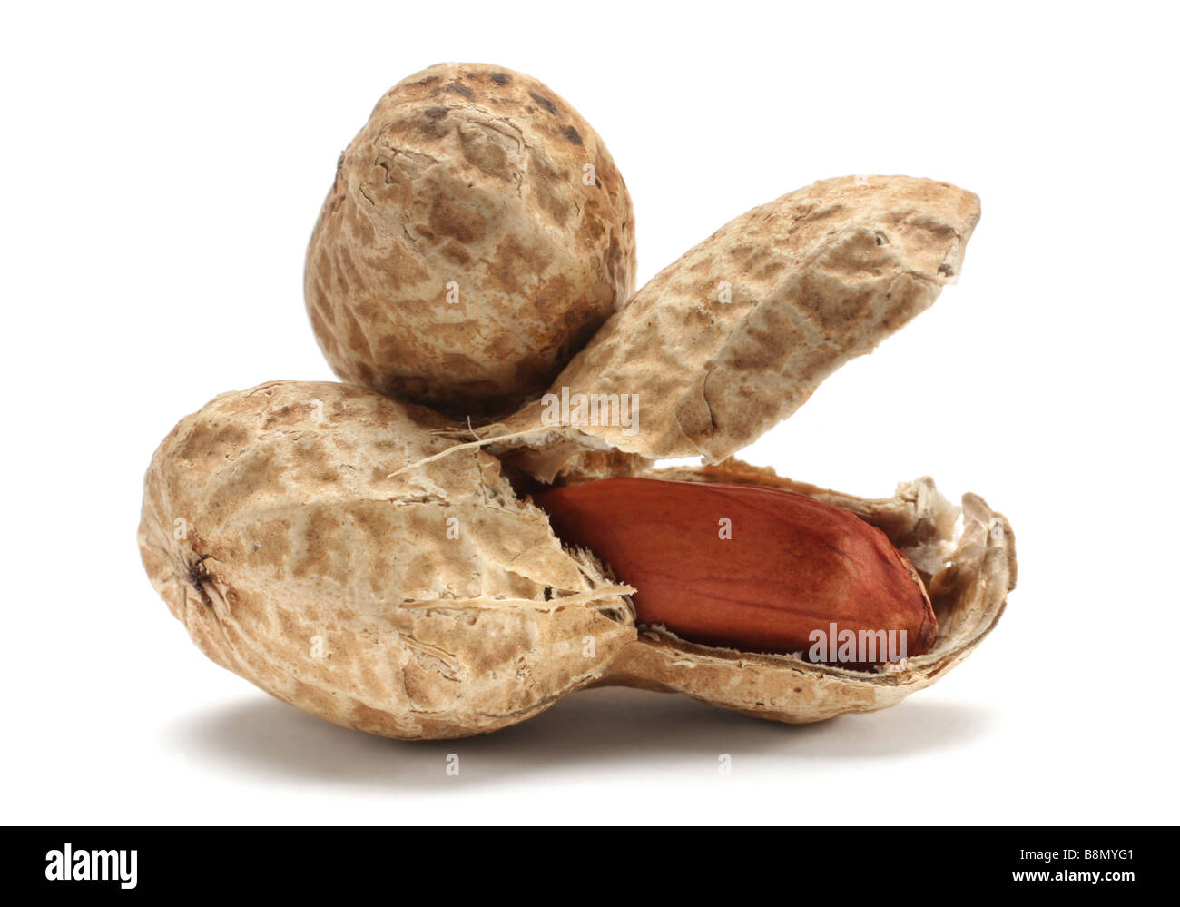 Peanut nut fruit group with shadow on white Stock Photo - Alamy
