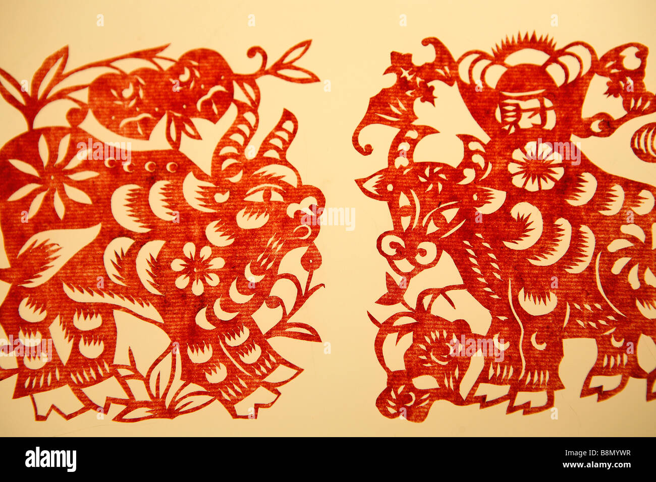 Cut Or Torn Paper Of Ox Stock Photo - Alamy