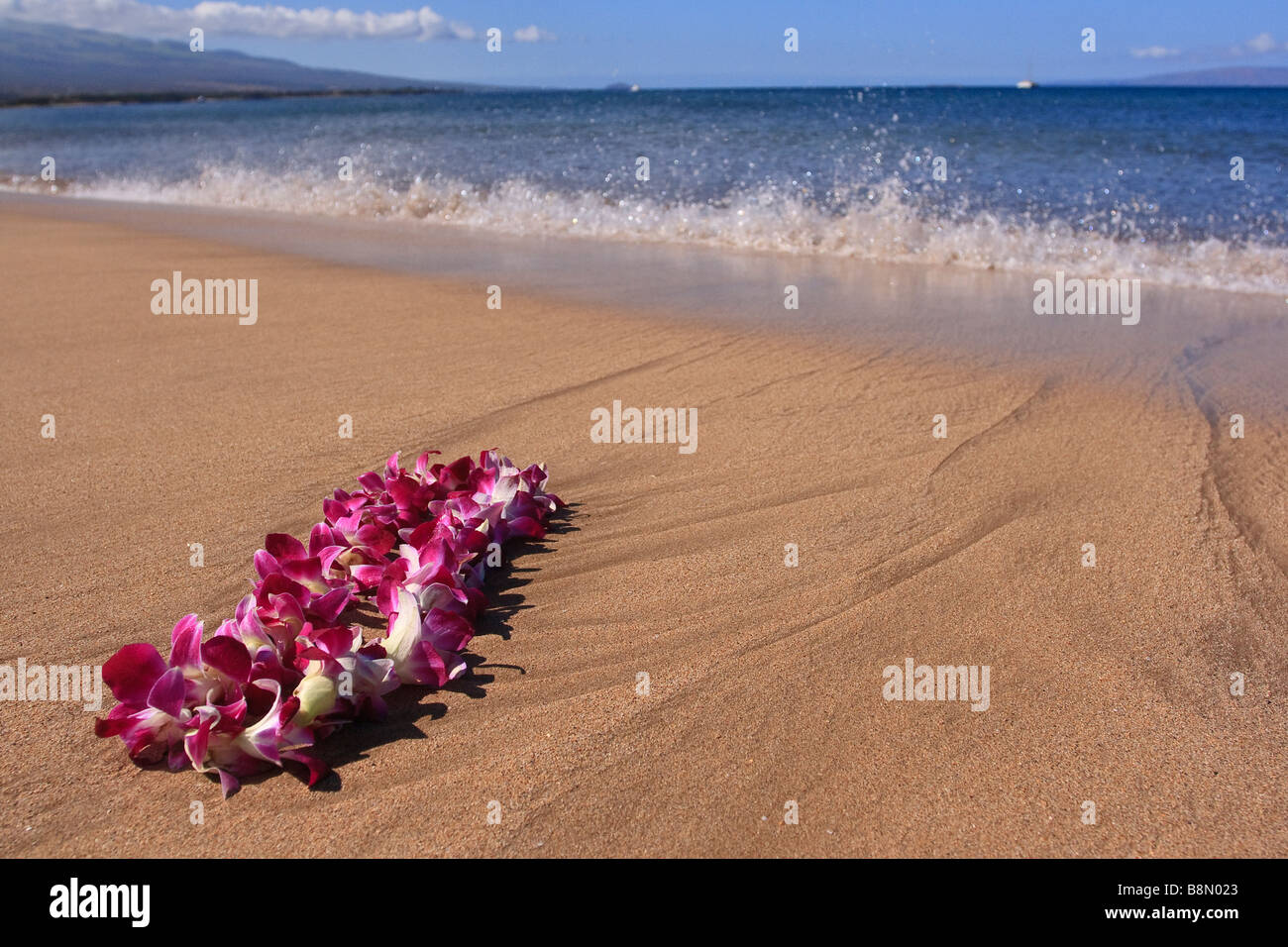 A lei on the beach in Hawaii Stock Photo - Alamy