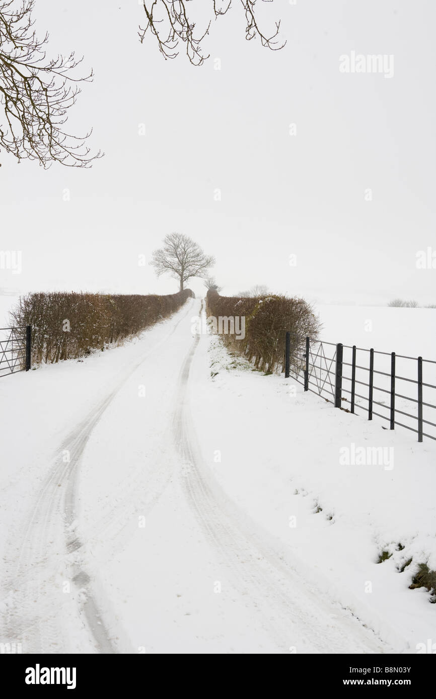 Snowy country lane hi-res stock photography and images - Alamy