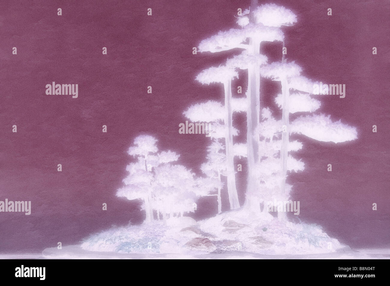 Bonsai Group of Trees, Digitally Enhanced Stock Photo - Alamy