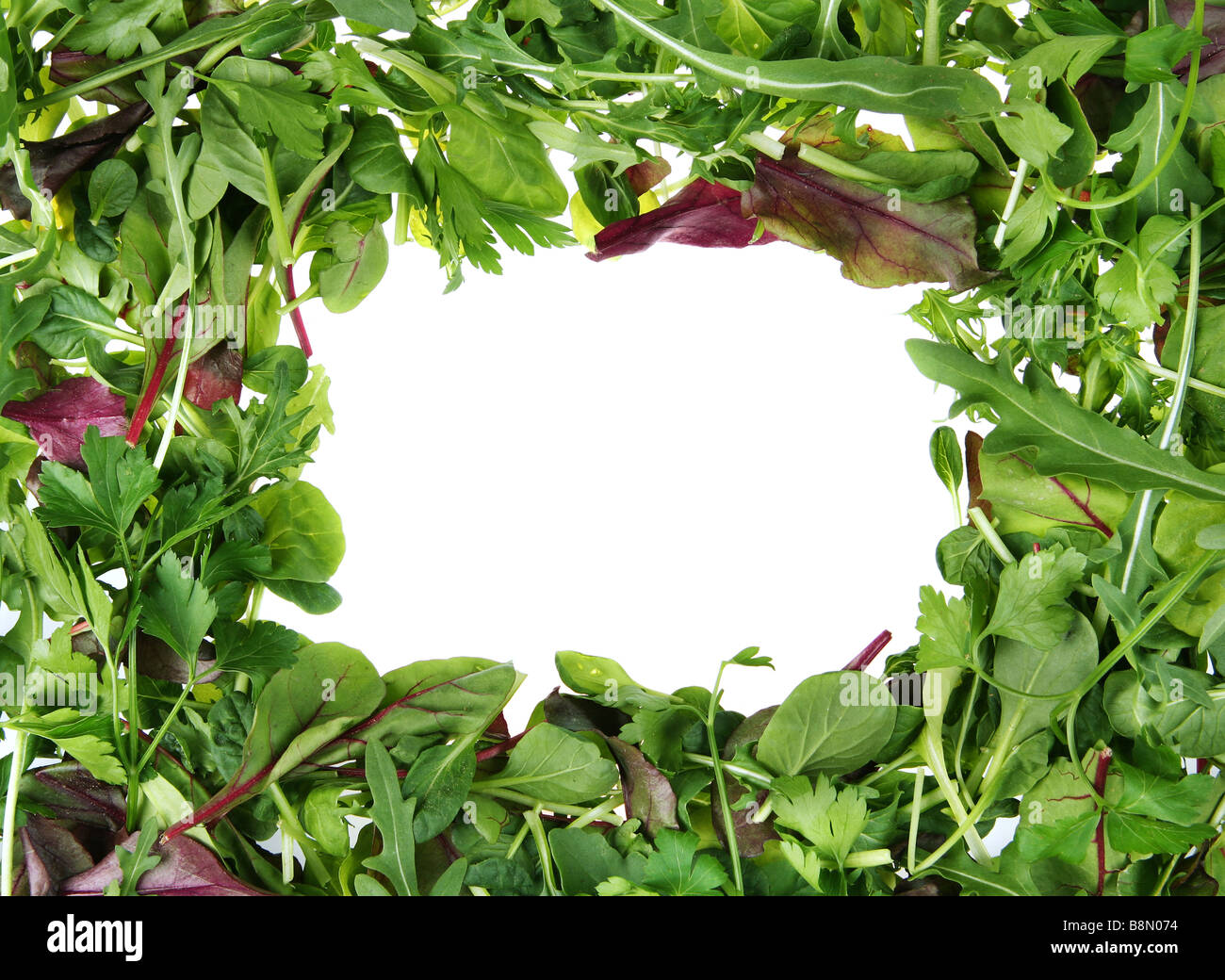 Green herb food ingredient frame on white Stock Photo - Alamy