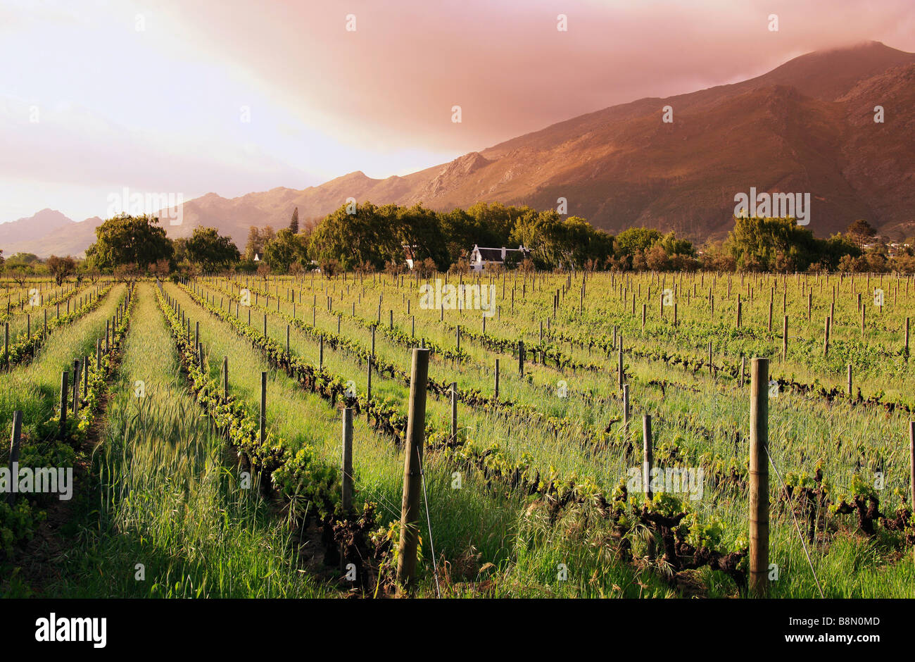 Nature Scene In South Africa Stock Photo - Alamy