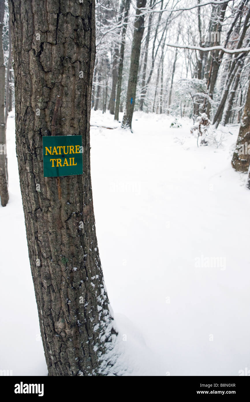 Charlottesville winter hi-res stock photography and images - Alamy