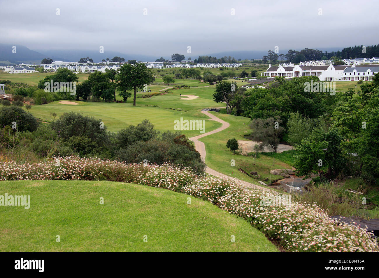 Nature Scene In South Africa Stock Photo - Alamy