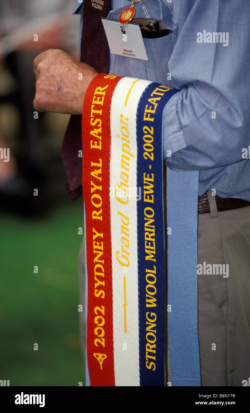 Grand champion merino hi-res stock photography and images - Alamy