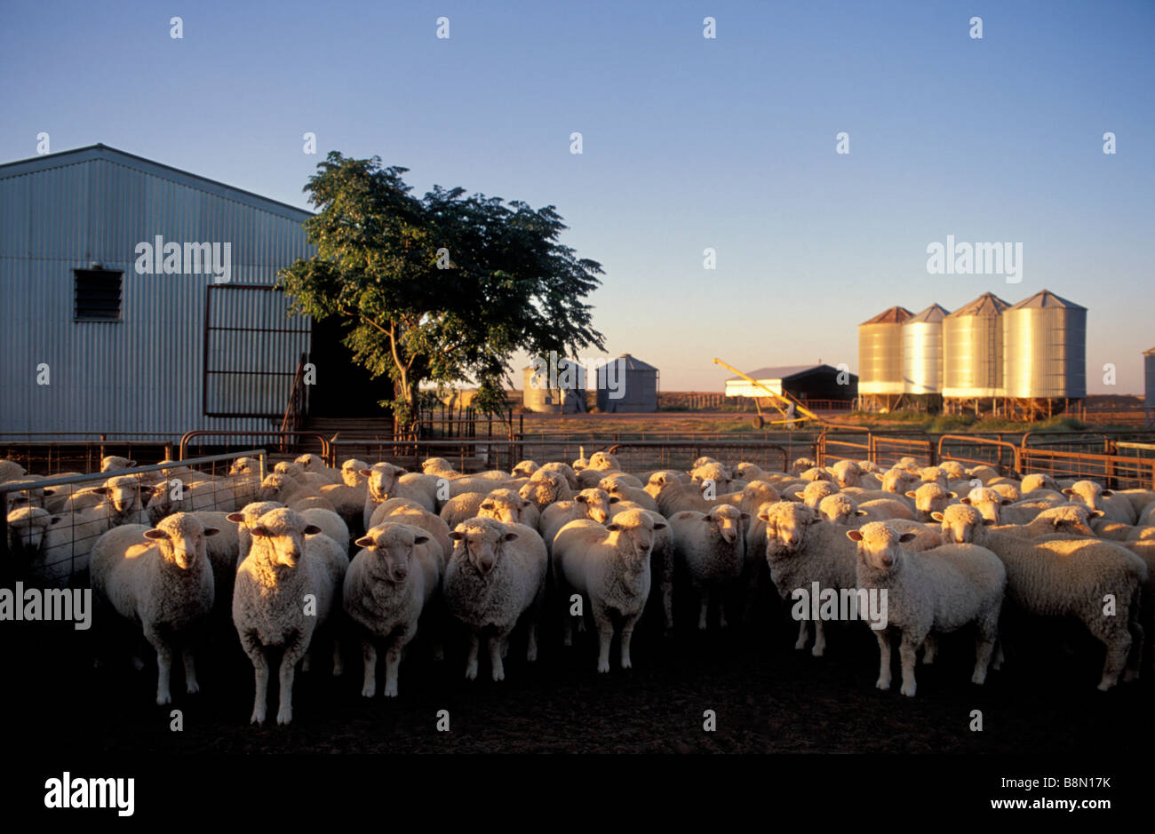 Farm yards hi-res stock photography and images - Alamy